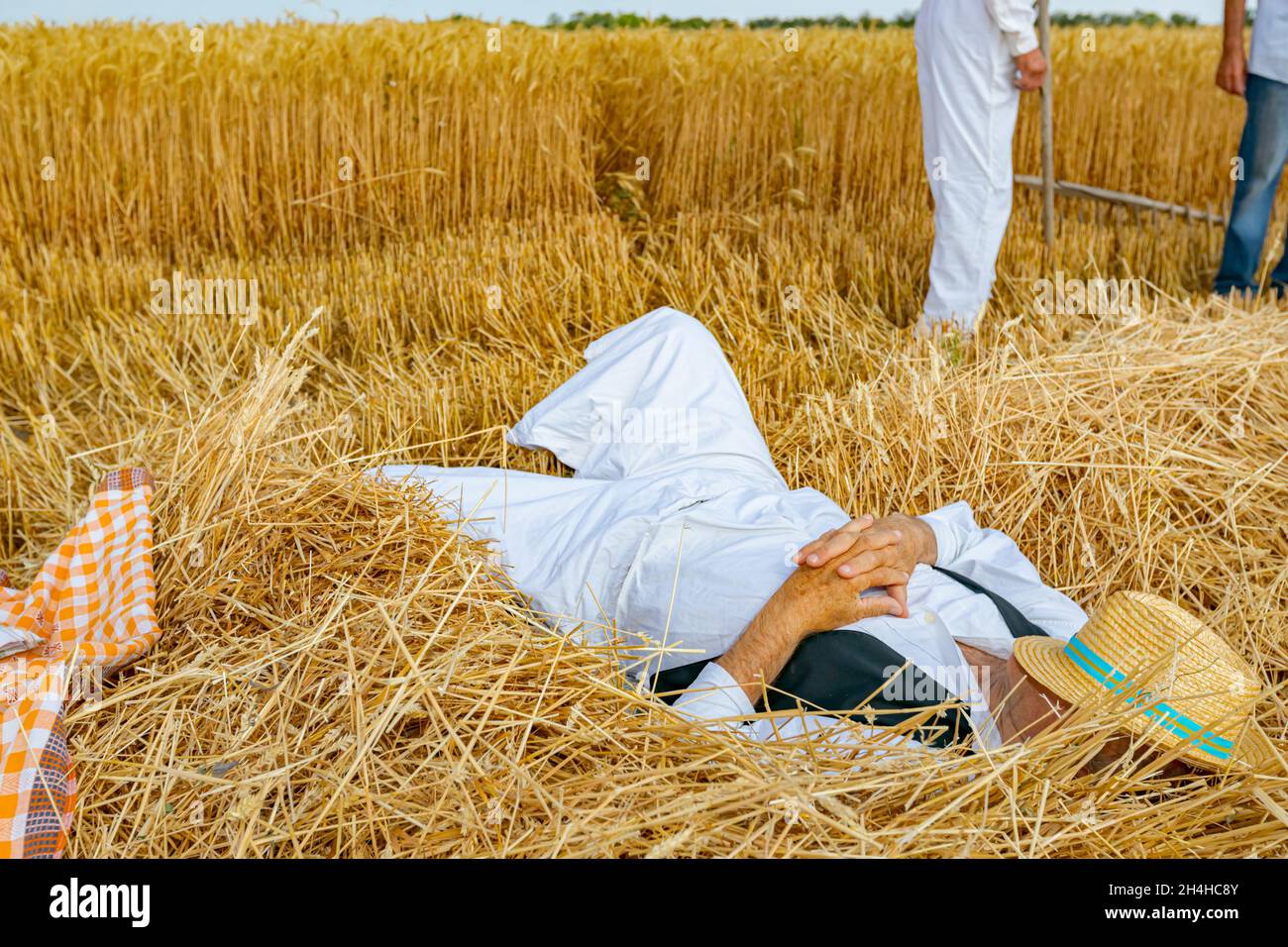 Senior farmer in summer meadow hi-res stock photography and images - Alamy