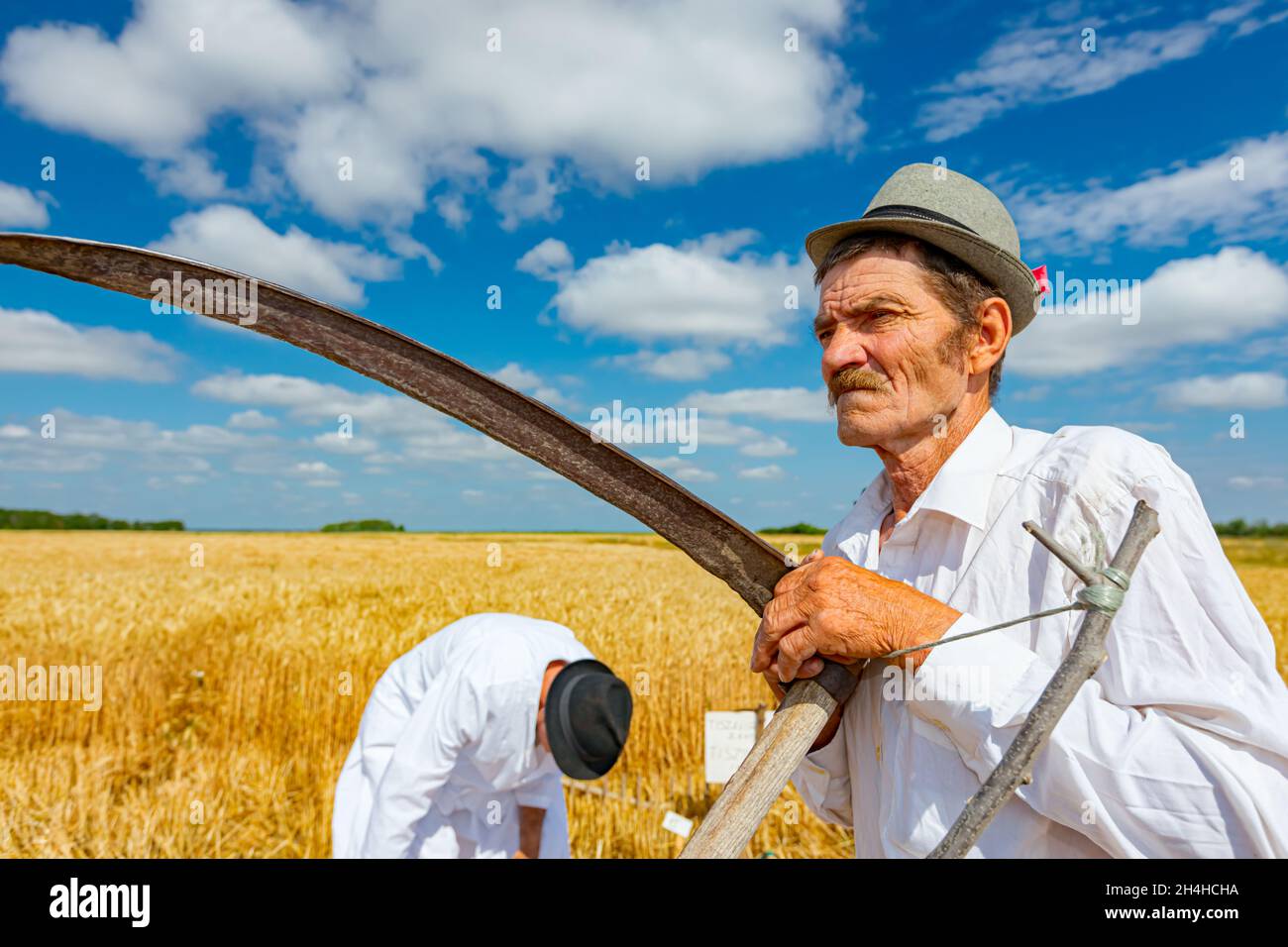 Farmer is holding scythe in front of field with mature wheat Stock ...