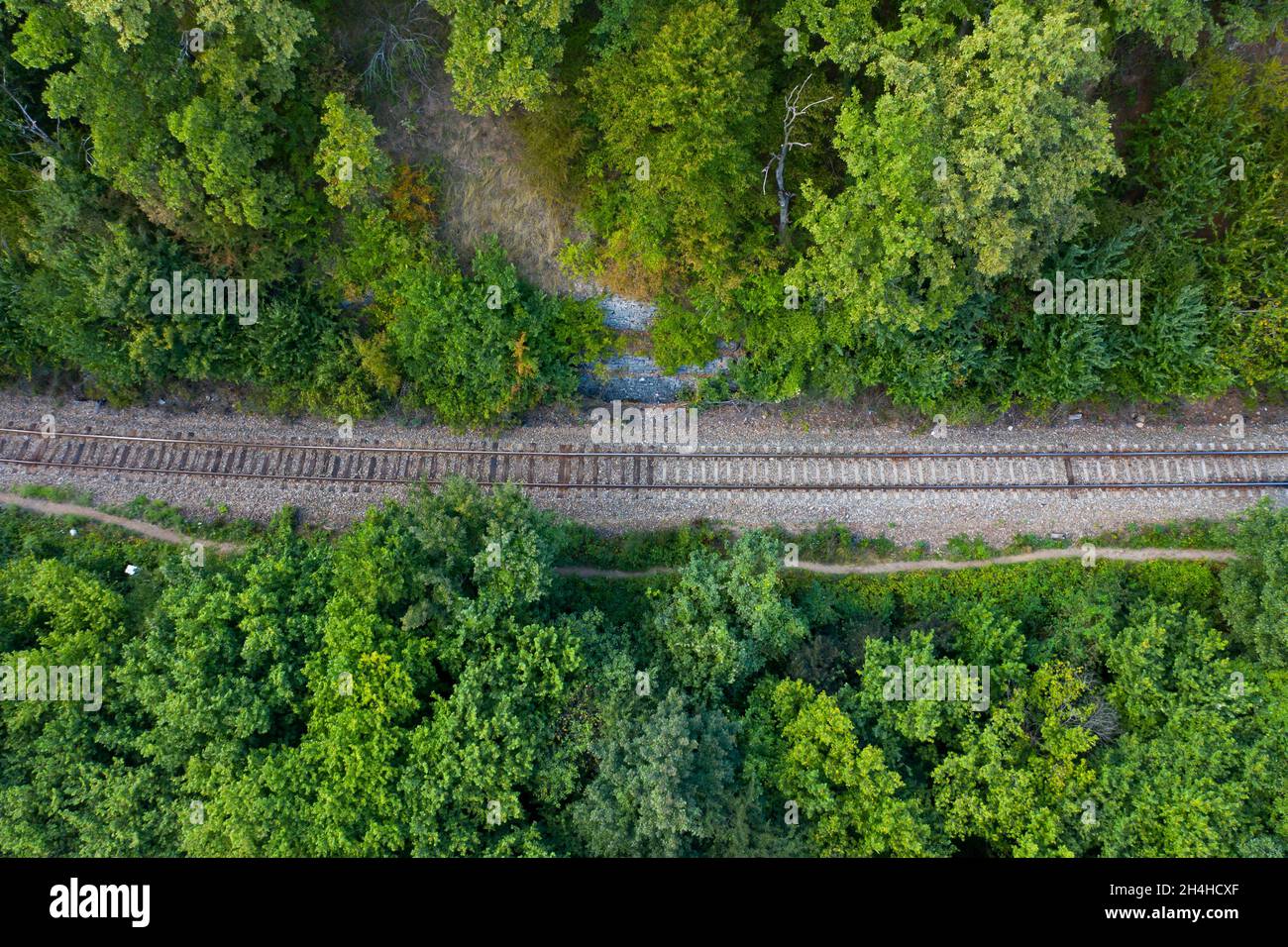 Aerial view of a train railroad in the green forest Stock Photo - Alamy