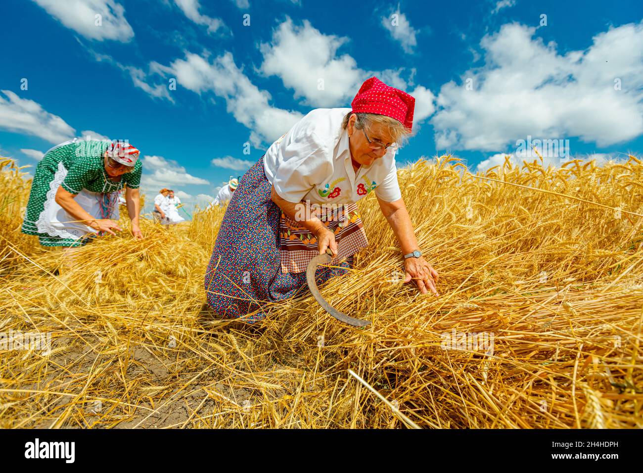 Muzlja, Vojvodina, Serbia, - July 03, 2021; XXXVIII Traditionally wheat ...