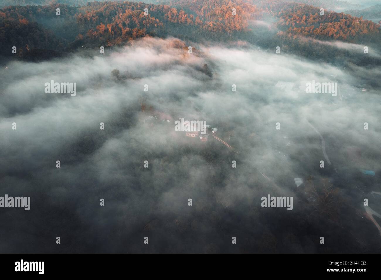 fog in the mountains in the morning nature Stock Photo - Alamy