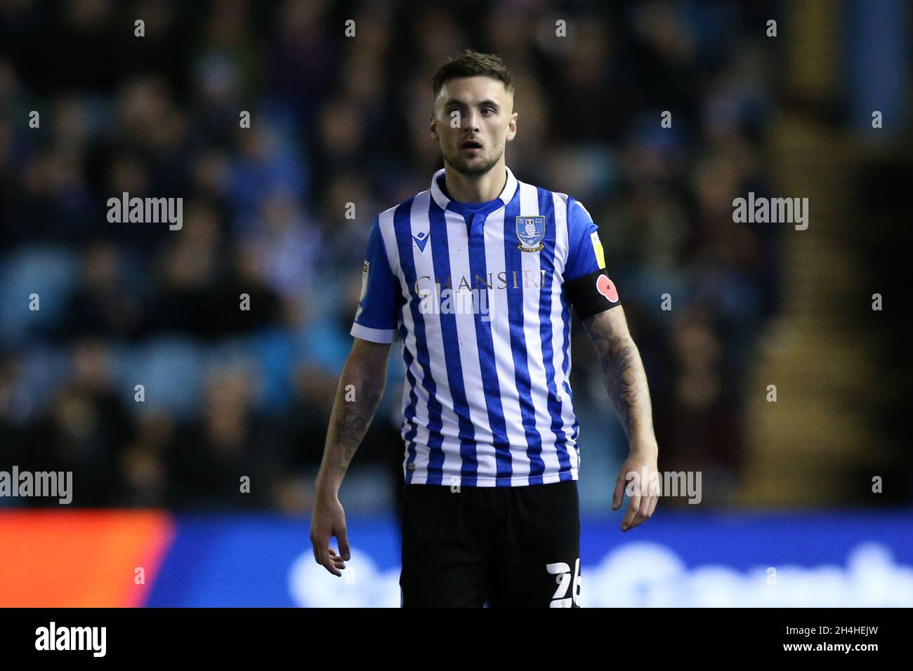 Lewis wing hi-res stock photography and images - Alamy