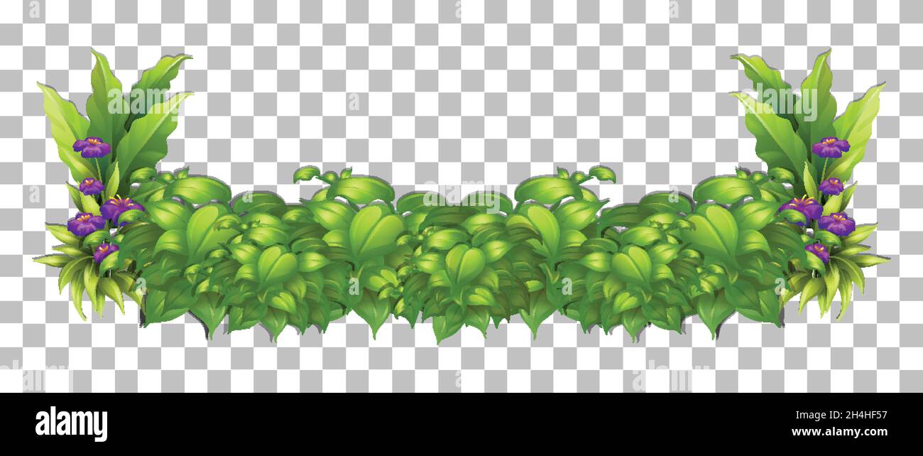 Tropical plant on transparent background illustration Stock Vector ...