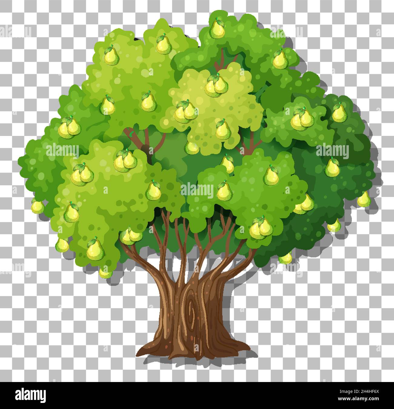 Pear tree on transparent background illustration Stock Vector Image ...