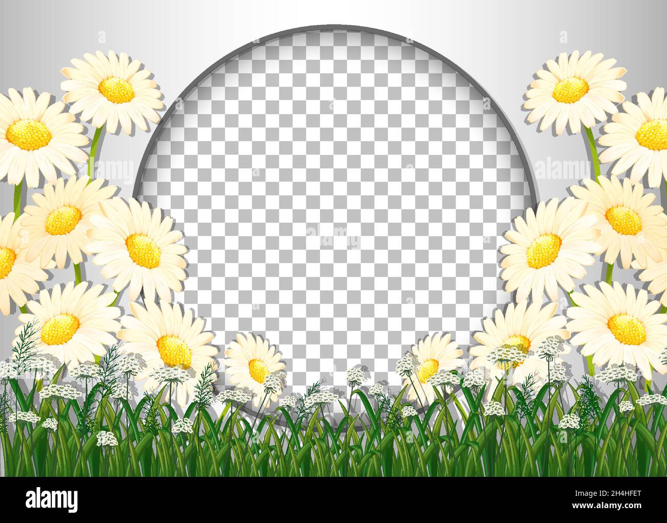 Round frame transparent with white flower field template illustration ...