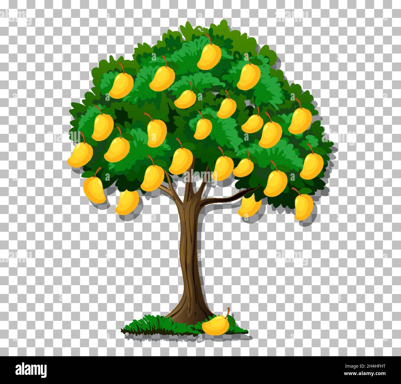 Mango tree on transparent background illustration Stock Vector Image ...