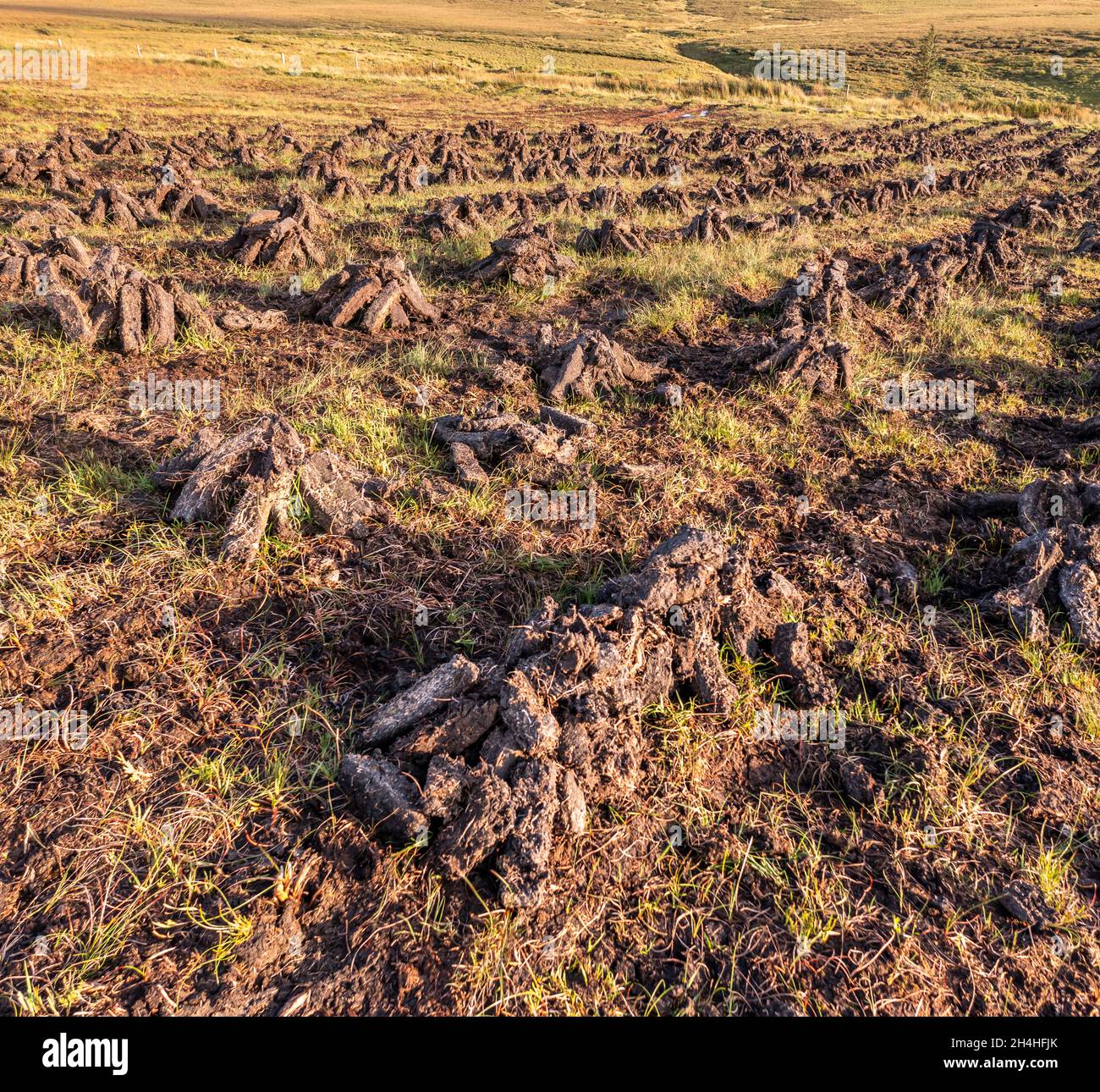 Bagging peat hi-res stock photography and images - Alamy