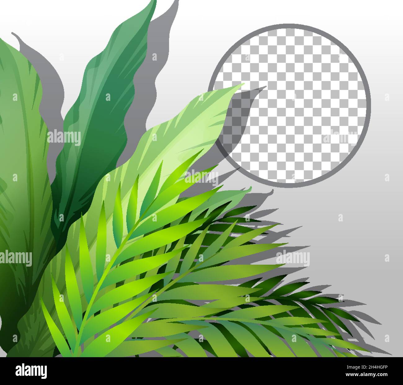 Nature plants frame transparent background illustration Stock Vector ...
