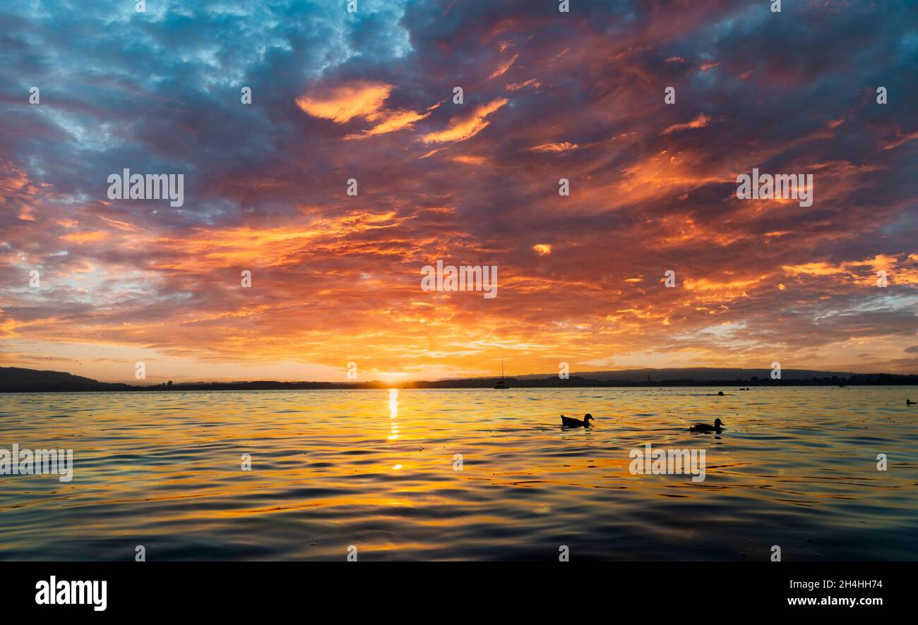 View of Lake Zugersee from the Swiss town of Zug, at dusk and calm with ...