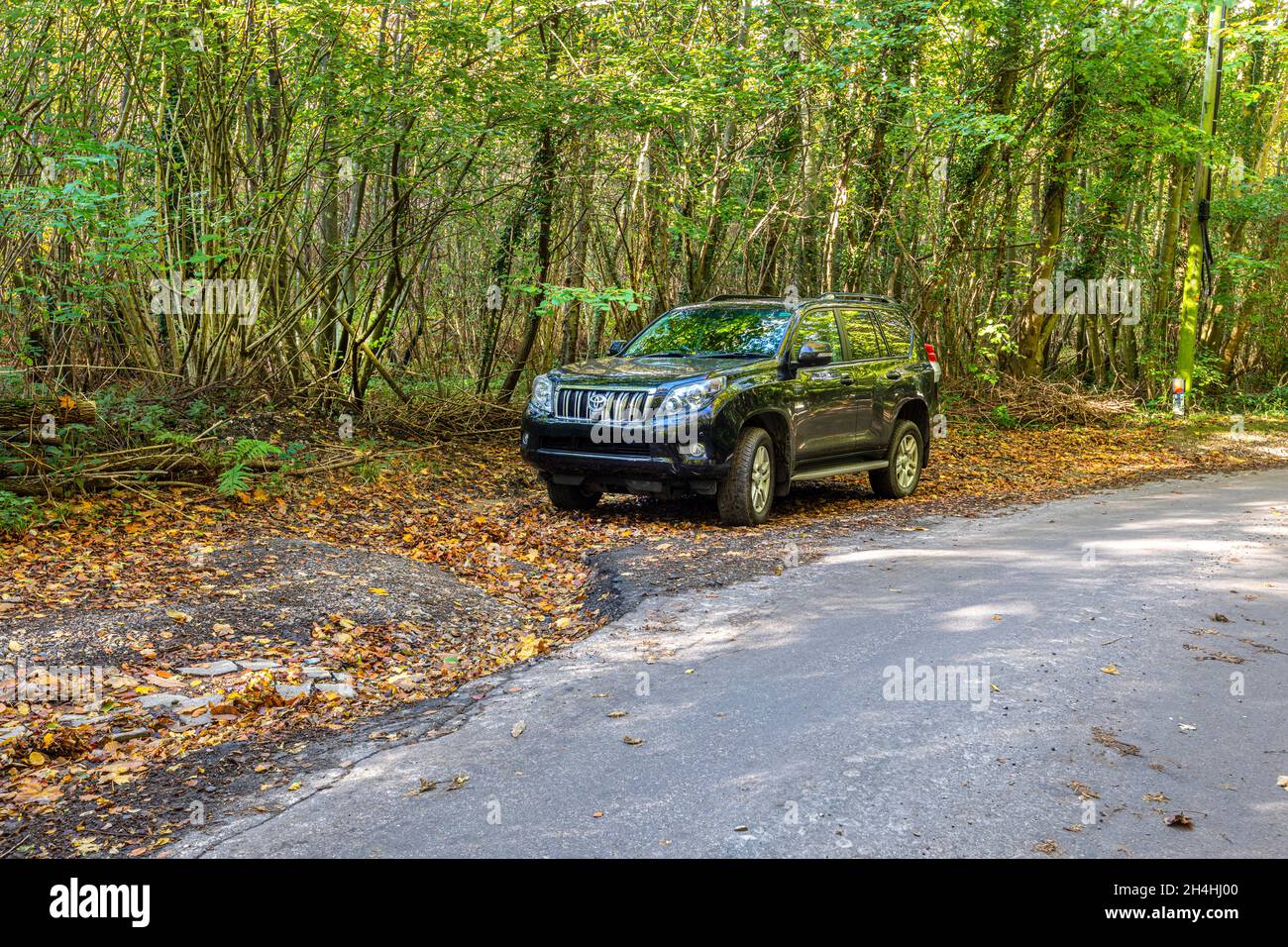 A Toyota Landcruiser parked by woodland roadside Stock Photo - Alamy