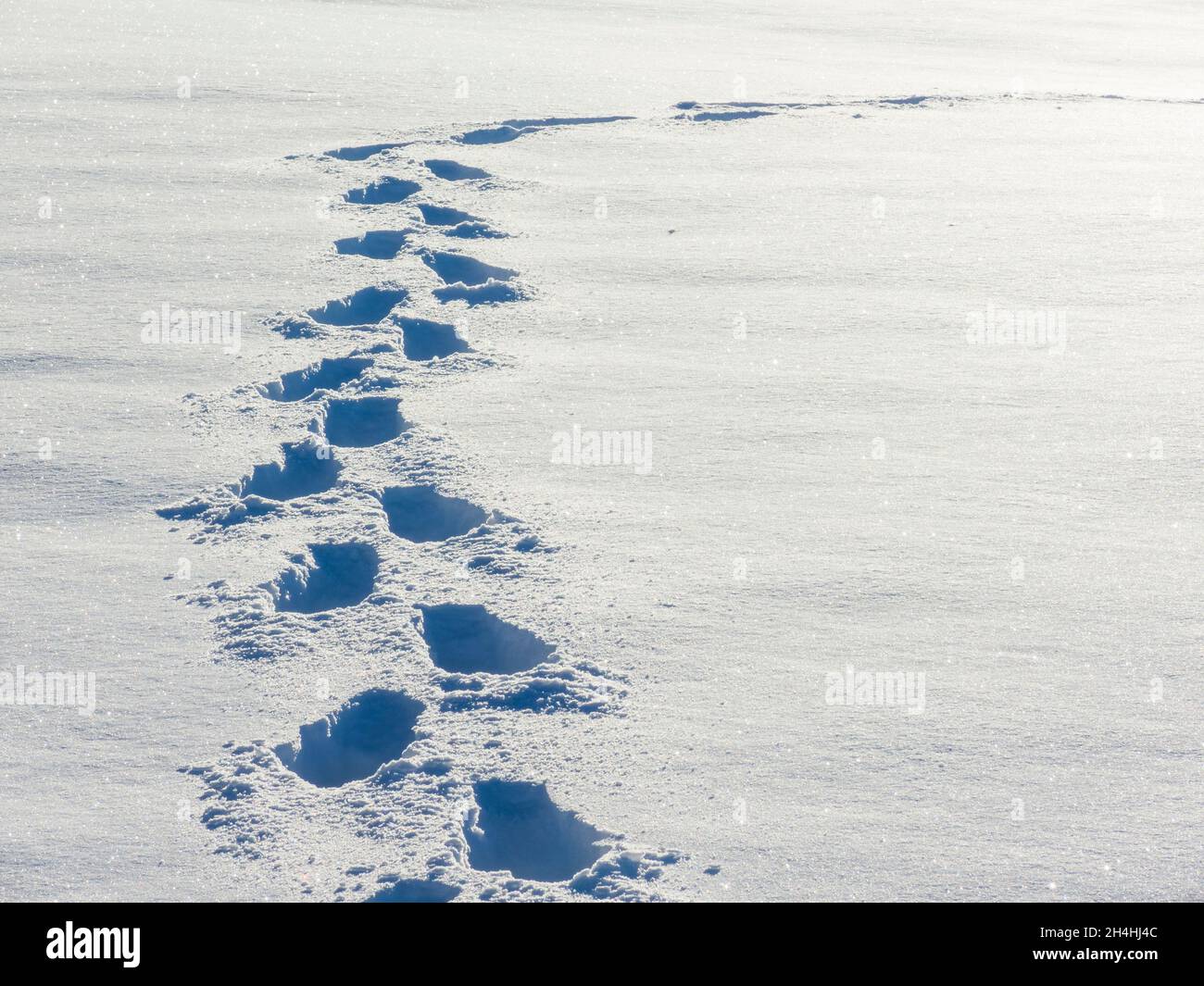 Outdoor curved pathway hi-res stock photography and images - Alamy