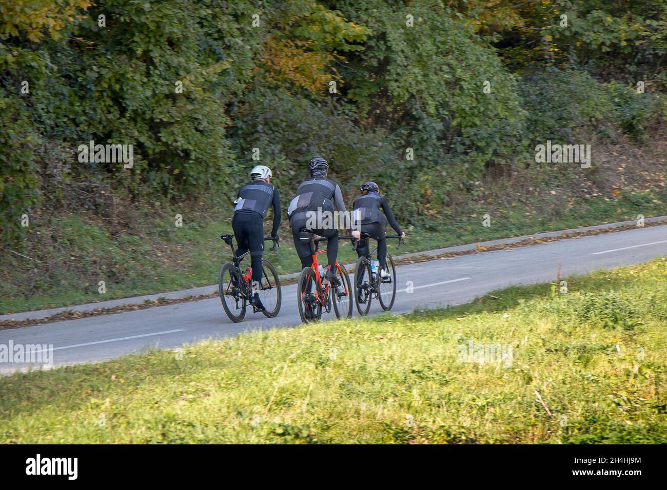 Group athletes cyclists riding a bike uphill along a road Stock Photo ...
