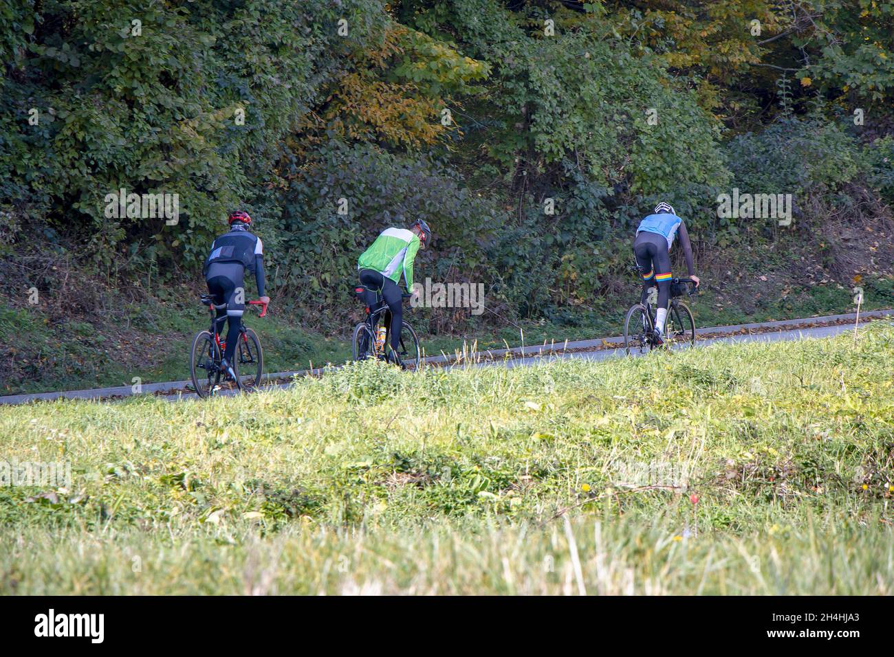 Group athletes cyclists riding a bike uphill along a road Stock Photo ...
