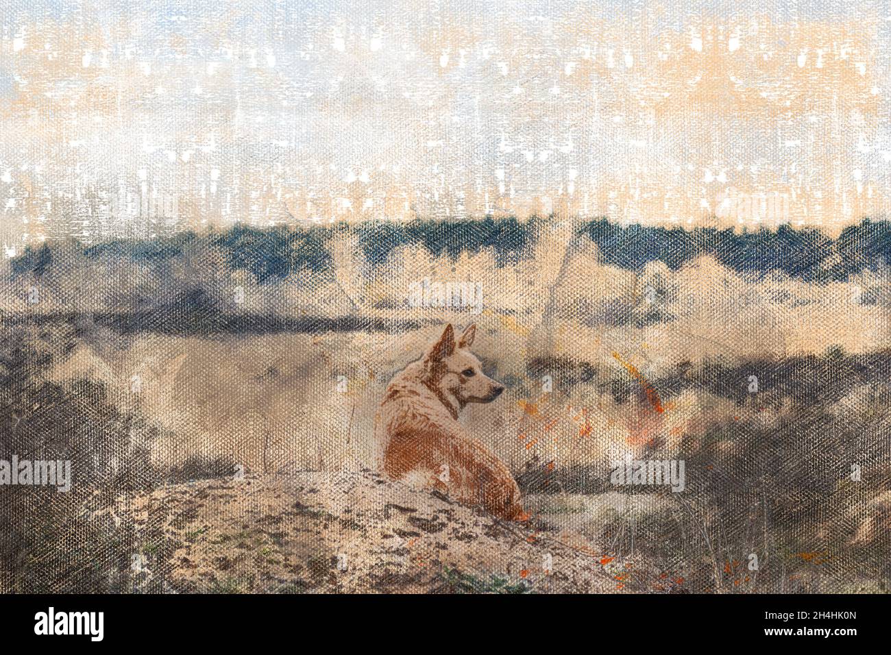Portrait of a sitting red mixed breed dog. The pet turns back sitting ...