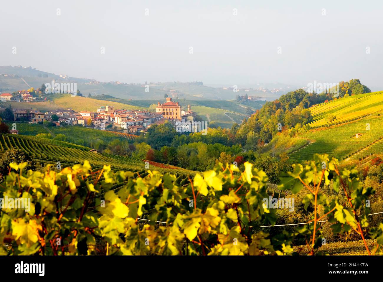 Castle of Barolo surroundet by the picturesque vinyard landscape of ...
