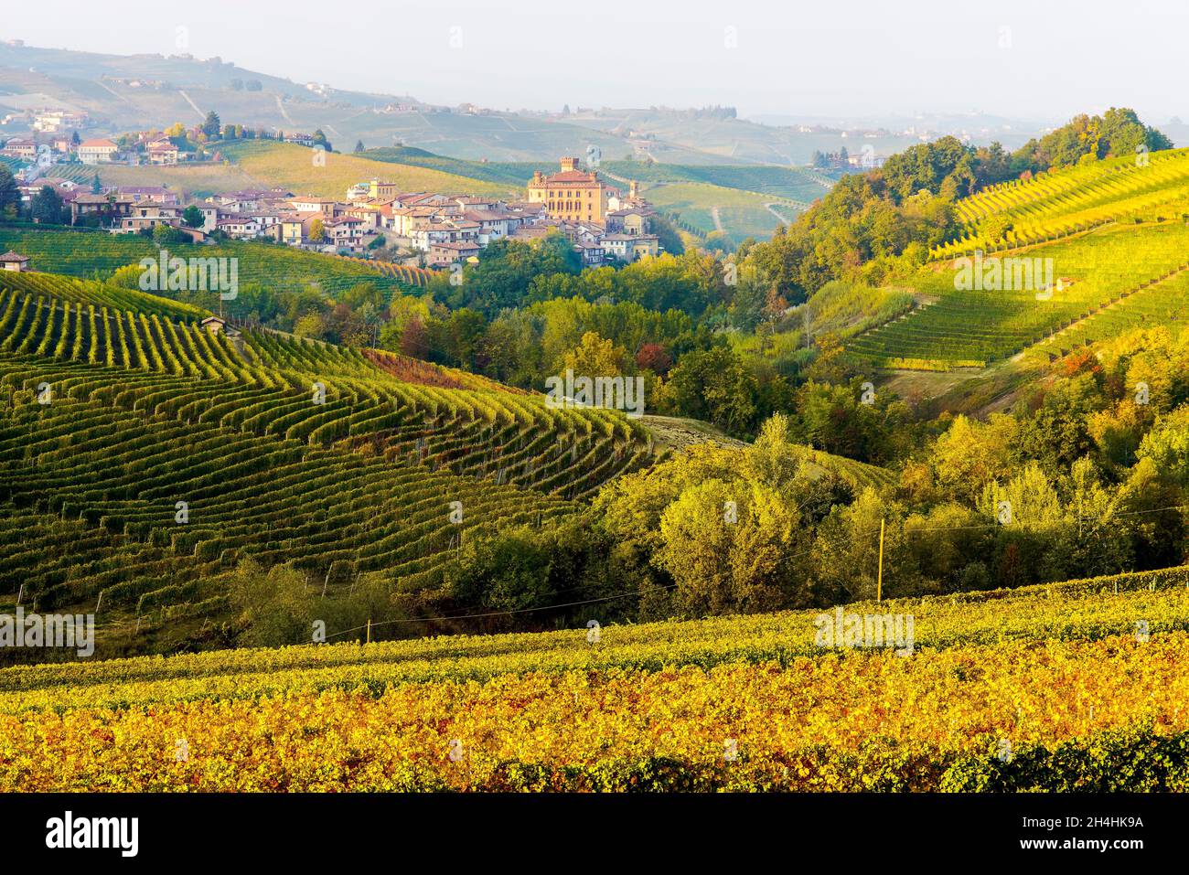 Castle of Barolo surroundet by the picturesque vinyard landscape of ...