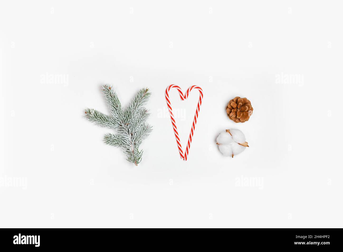 Christmas tree branches dried Cut Out Stock Images & Pictures - Alamy