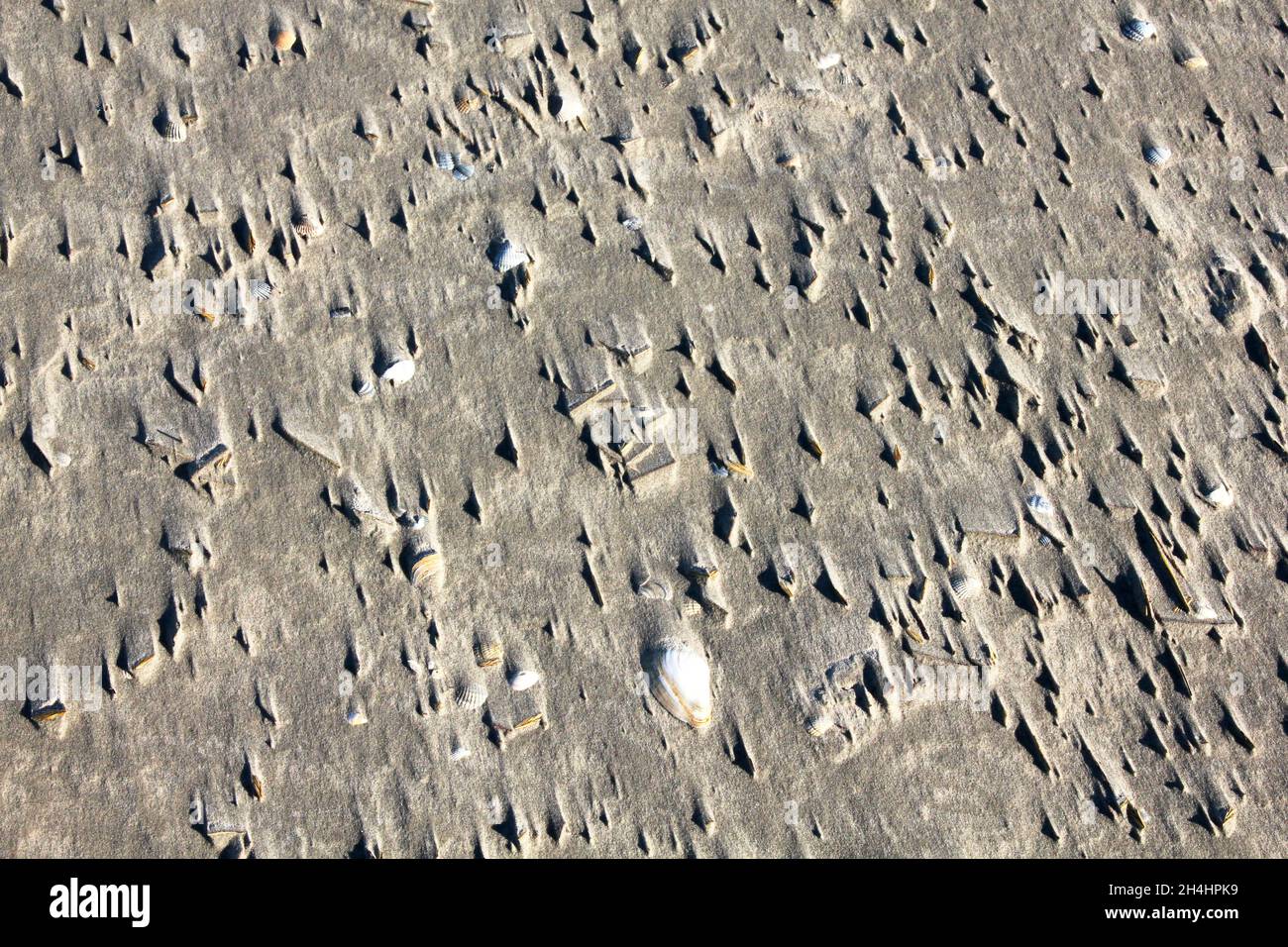 Sandy wind storm hi-res stock photography and images - Alamy