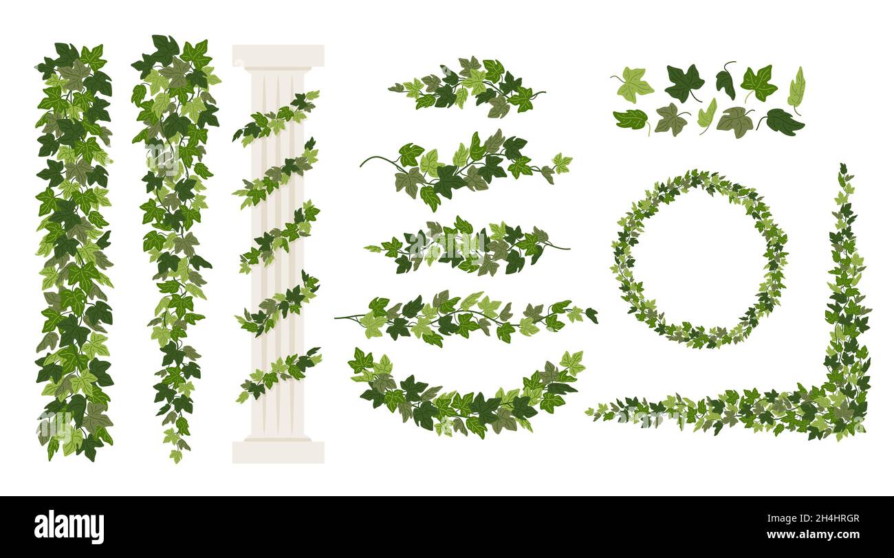 Balcony with vines Cut Out Stock Images & Pictures - Alamy