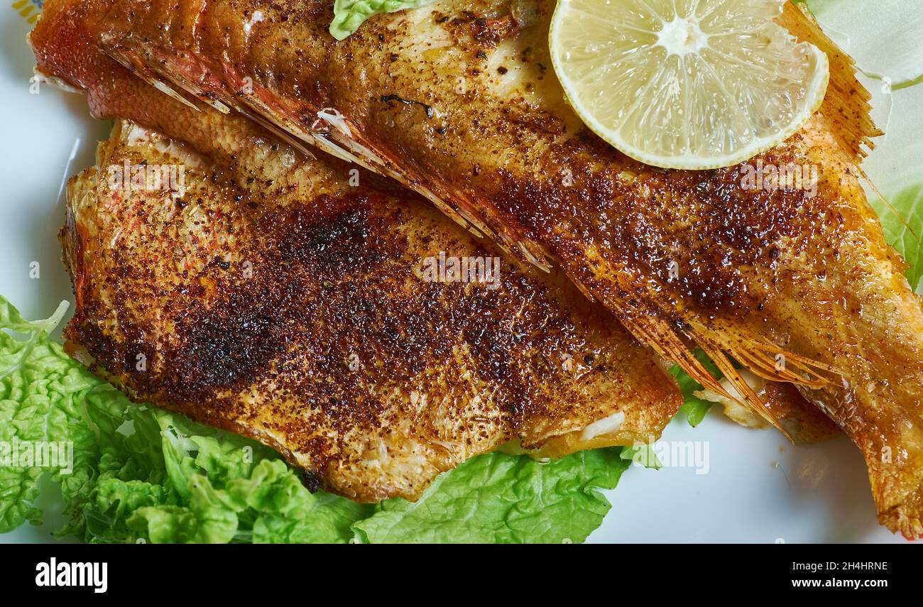 A pacu fish hi-res stock photography and images - Alamy