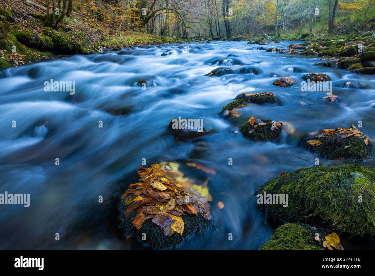 Rocks covered by the moss in autumn on a stream with the rapids, Zeleni vir, Croatia Stock Photo ...