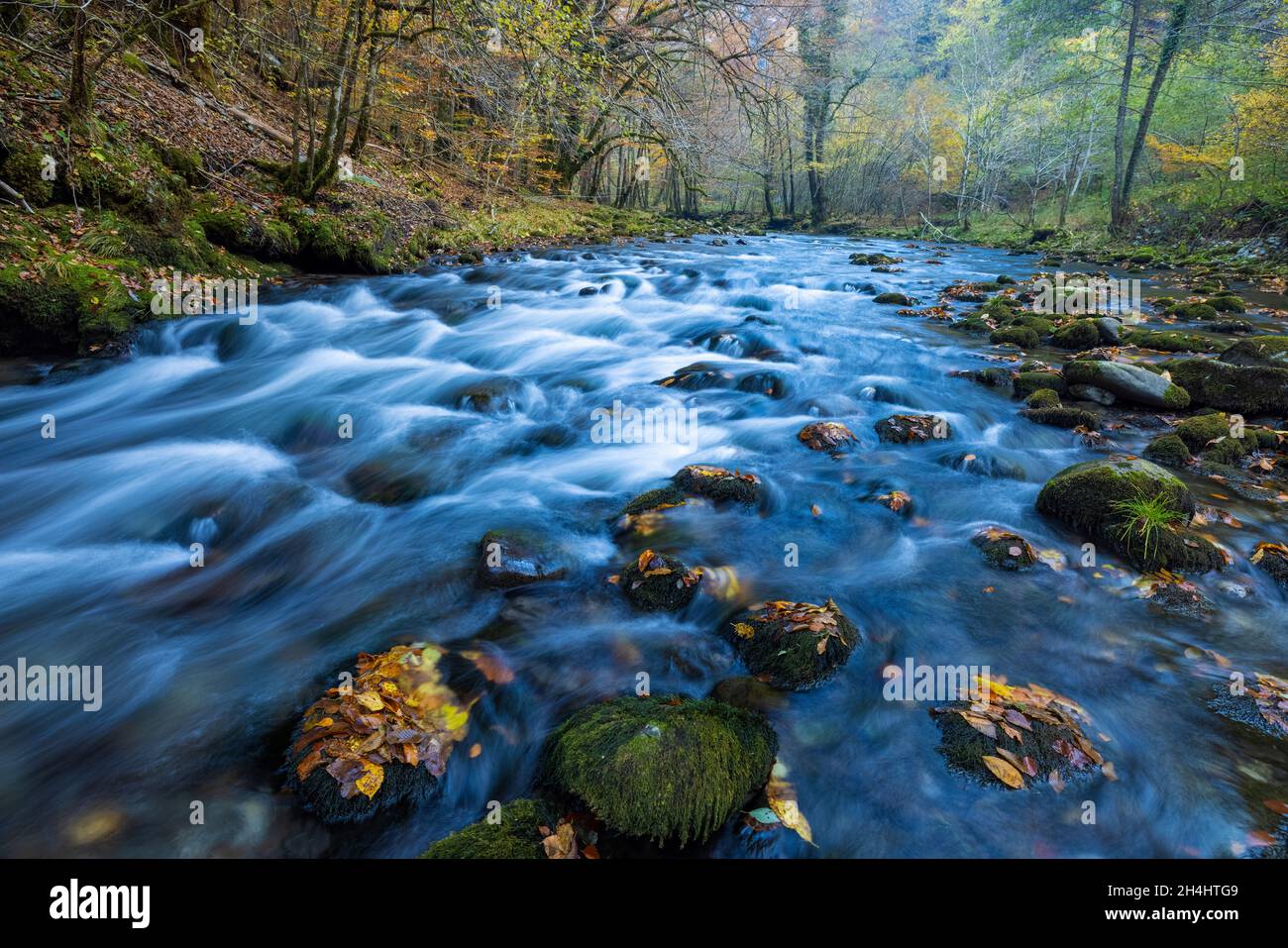 Rocks covered by the moss in autumn on a stream with the rapids, Zeleni vir, Croatia Stock Photo ...