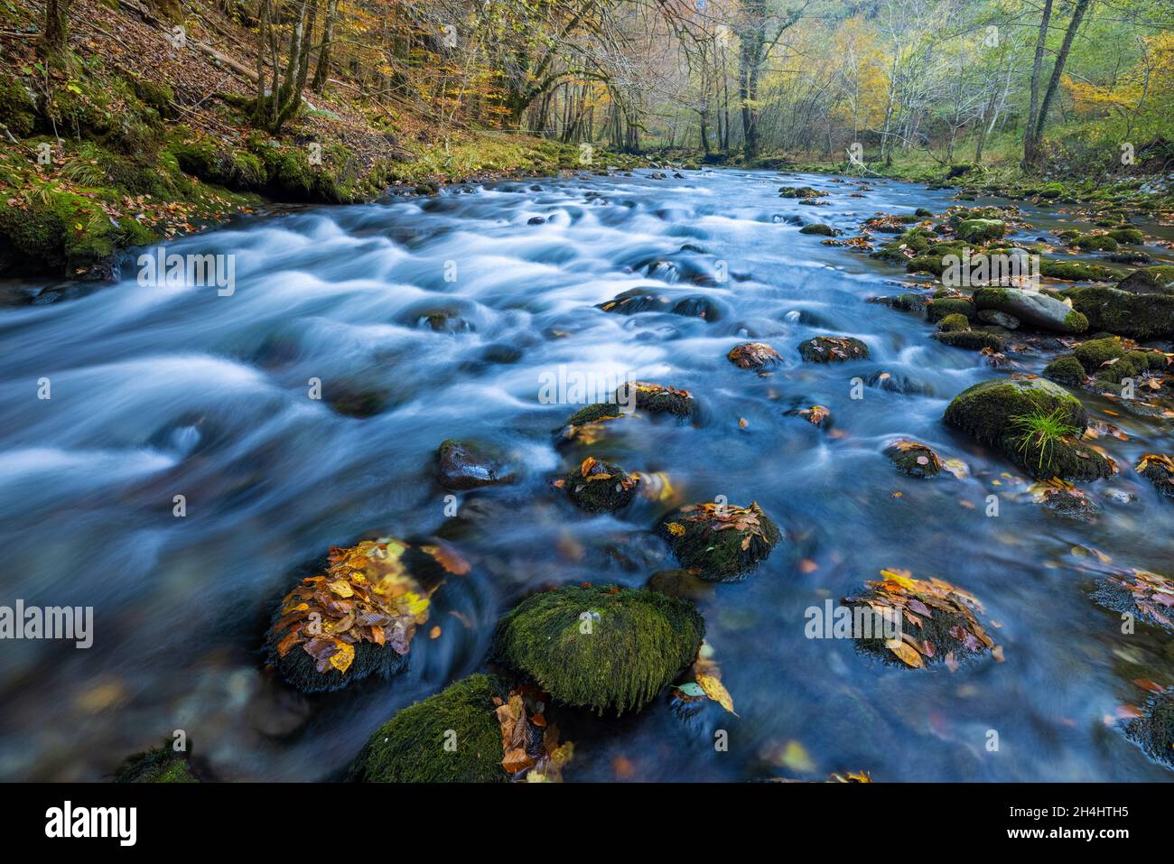 Rocks covered by the moss in autumn on a stream with the rapids, Zeleni vir, Croatia Stock Photo ...
