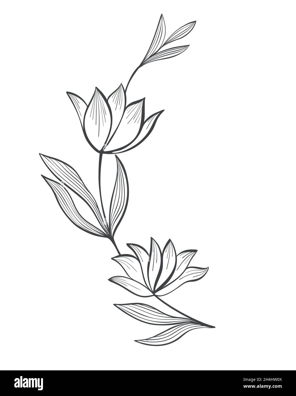 Abstract flowers on a branch with leaves handmade sketch. Engraved ...