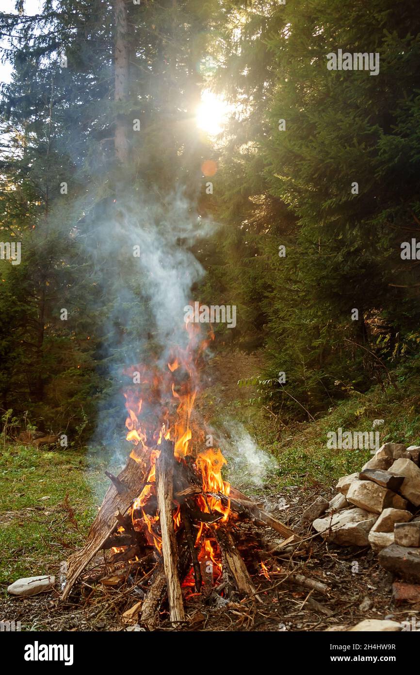 A campfire in the forest with the sun peaking through the trees Stock ...