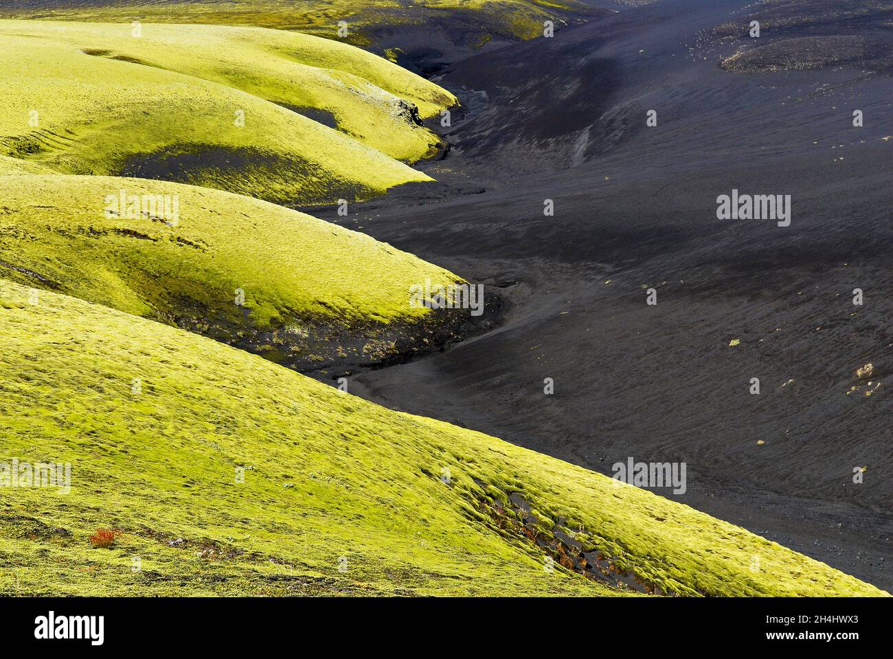Islande. Region volcanique de Lakagigar. Volcan Laki. // Iceland ...