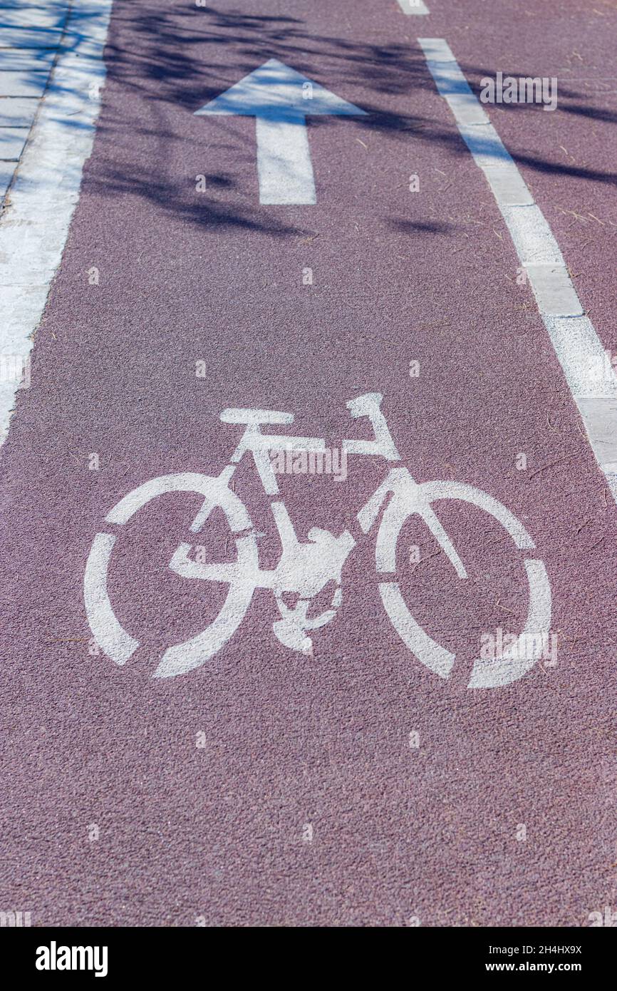 bike lane with direction arrow and white icon, divided for walking and ...