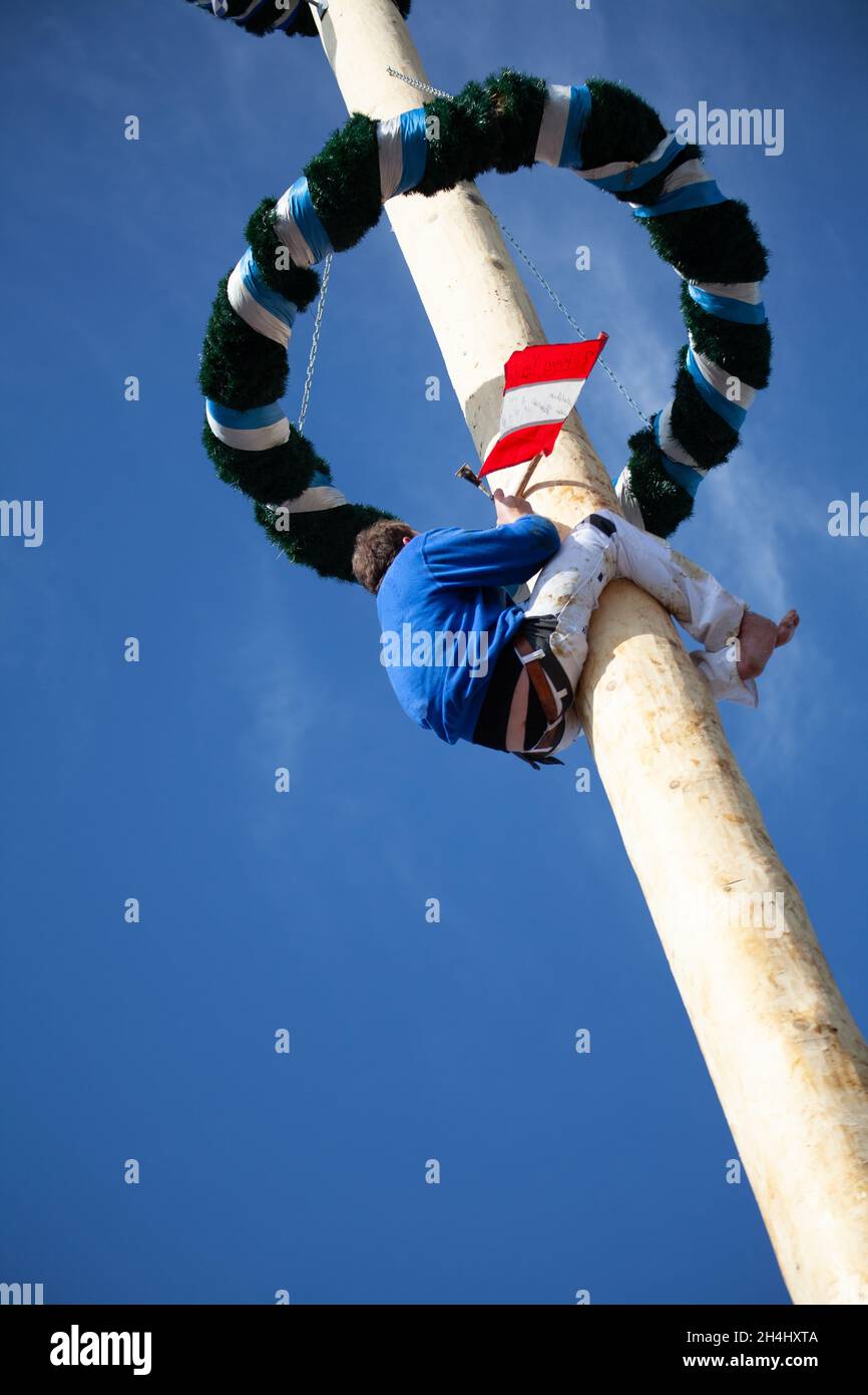 Maypole with wreaths protrudes into the blue sky and young man attached ...