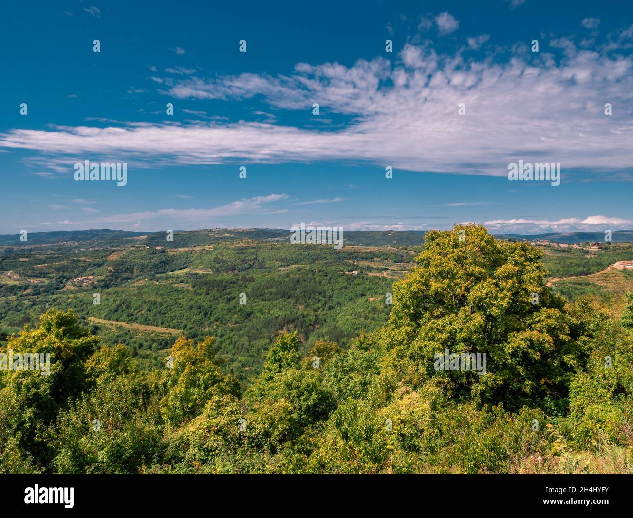 View over the landscape in Istria Croatia Stock Photo - Alamy