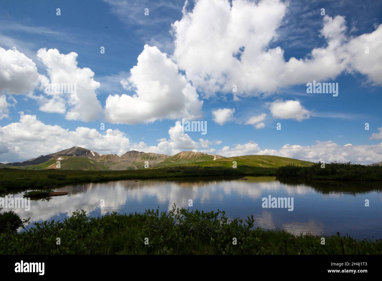 Colorado hills flowers trees hi-res stock photography and images - Alamy
