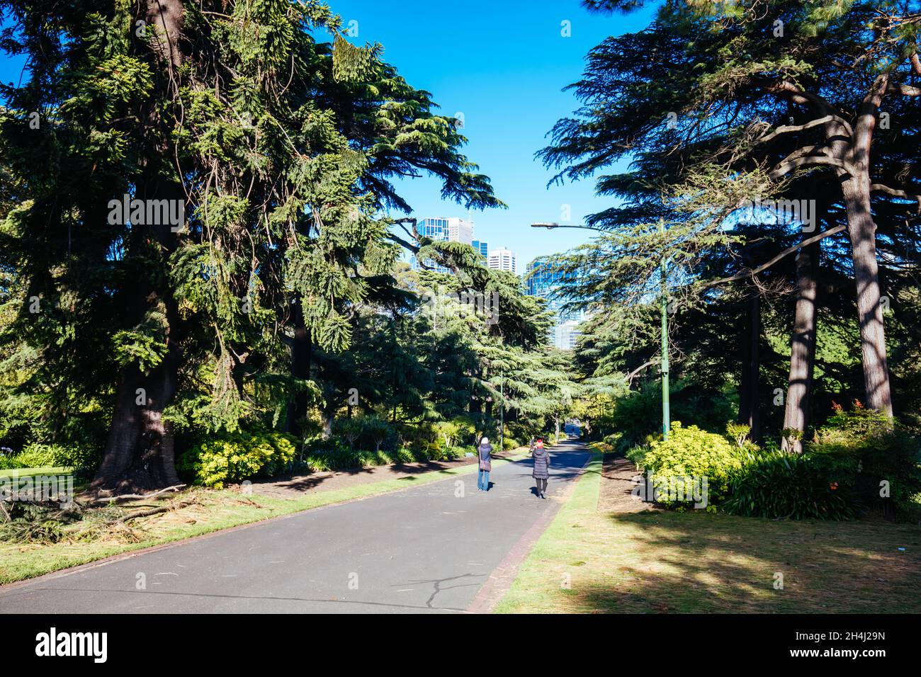 Melbourne’s fitzroy gardens hi-res stock photography and images - Alamy