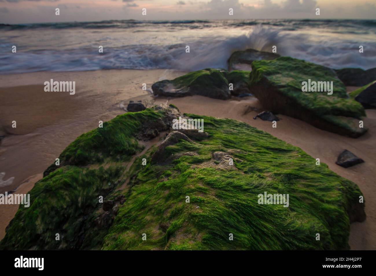 Mattu beach hi-res stock photography and images - Alamy