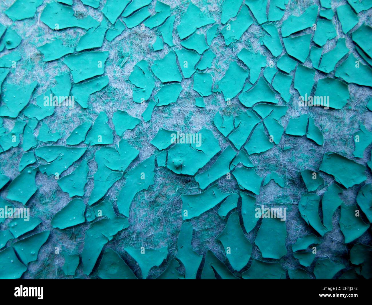 Blue peeling paint on the wall. Weathered rough painted surface with ...