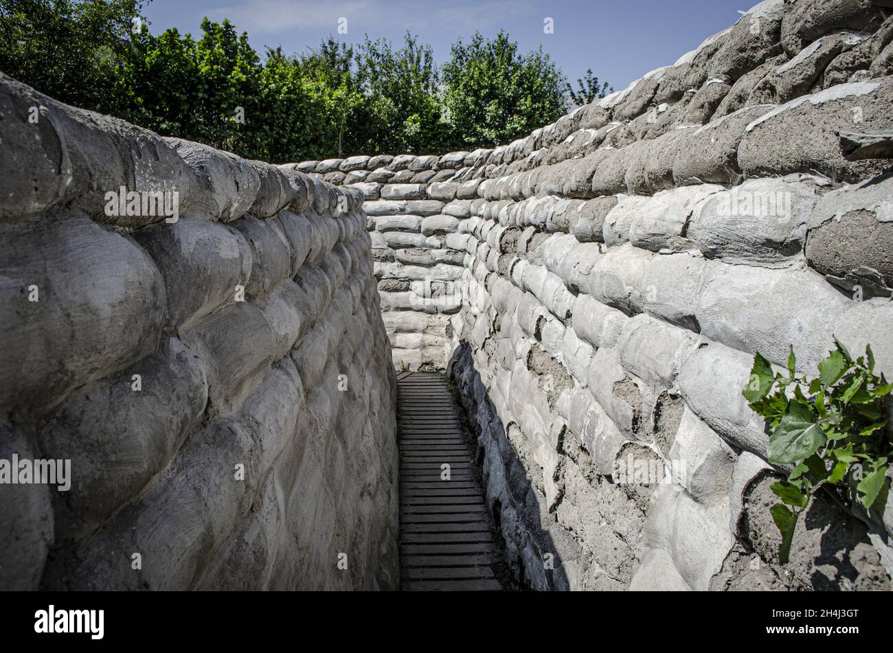 Preserved World War 1 trench, Flanders, Belgium Stock Photo - Alamy