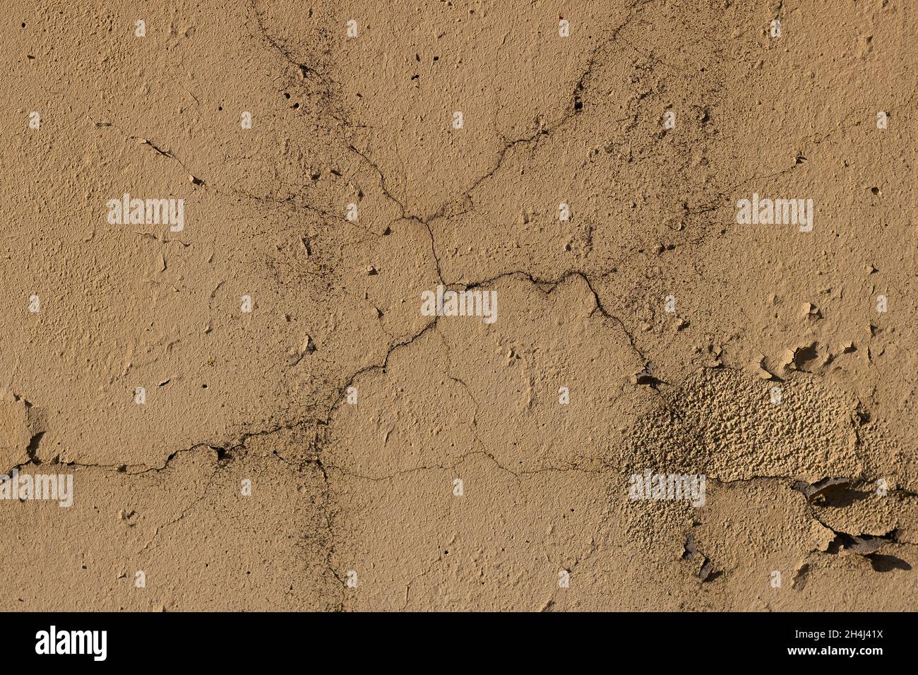 An old cracked wall with black, fragile branches and lines. peeling ...