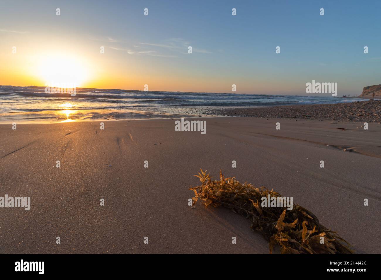 Low angle wide view of the sunset at the sea Poleg beach Israel Stock ...
