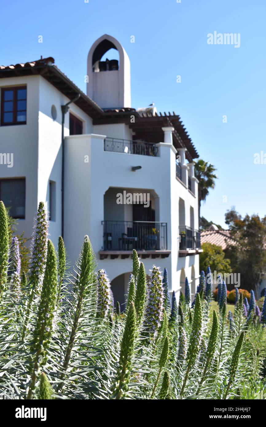 GOLETA, UNITED STATES - Jul 09, 2018: The flowers at a luxury resort ...