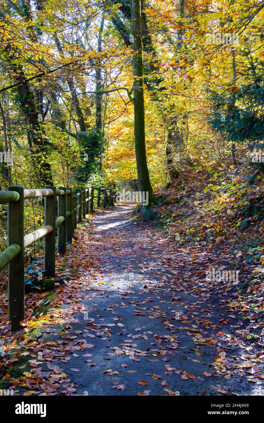 Footpath railing perspective hi-res stock photography and images - Alamy
