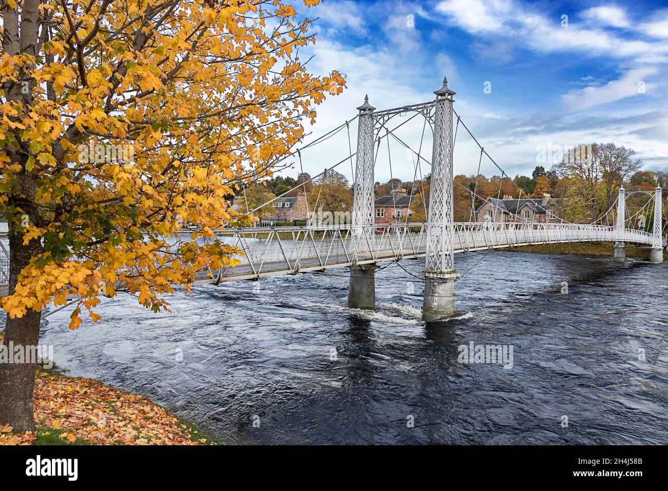 INVERNESS SCOTLAND AUTUMN TREES AND COLOURFUL AUTUMNAL MAPLE LEAVES AND ...