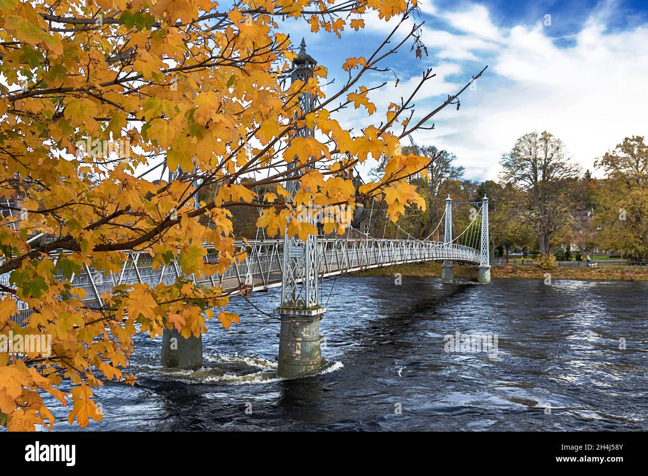 INVERNESS SCOTLAND AUTUMN TREES AND COLOURFUL AUTUMNAL MAPLE LEAVES THE ...