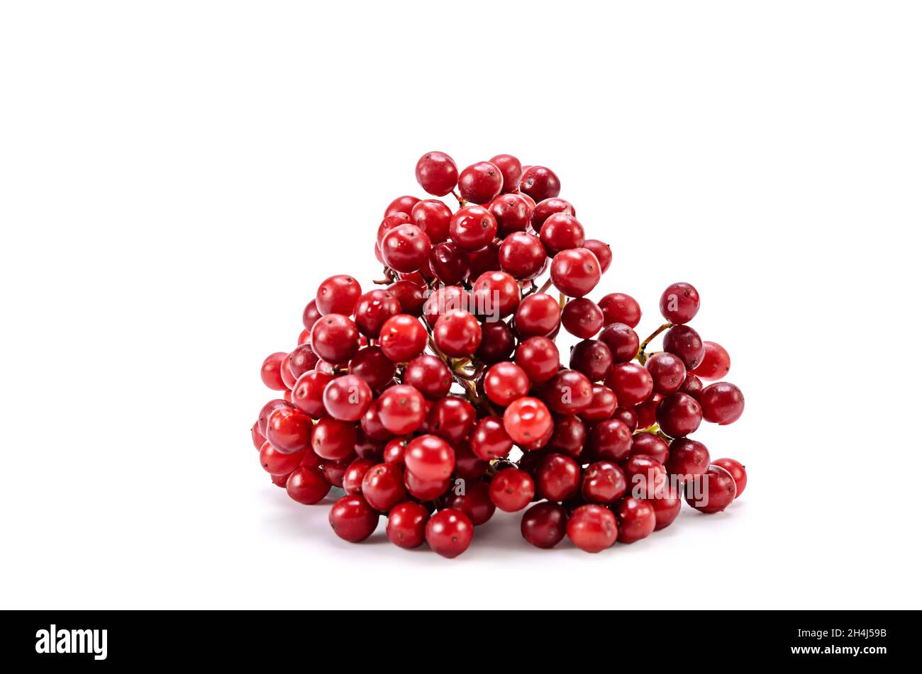 Red berries on shrub Cut Out Stock Images & Pictures - Alamy