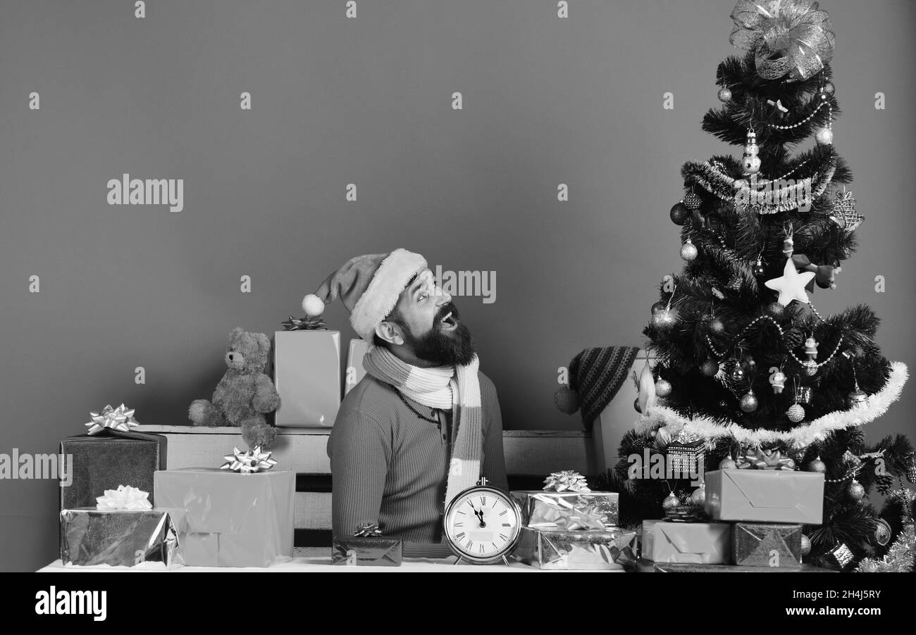 Santa Claus sits near fir tree on blue background Stock Photo - Alamy