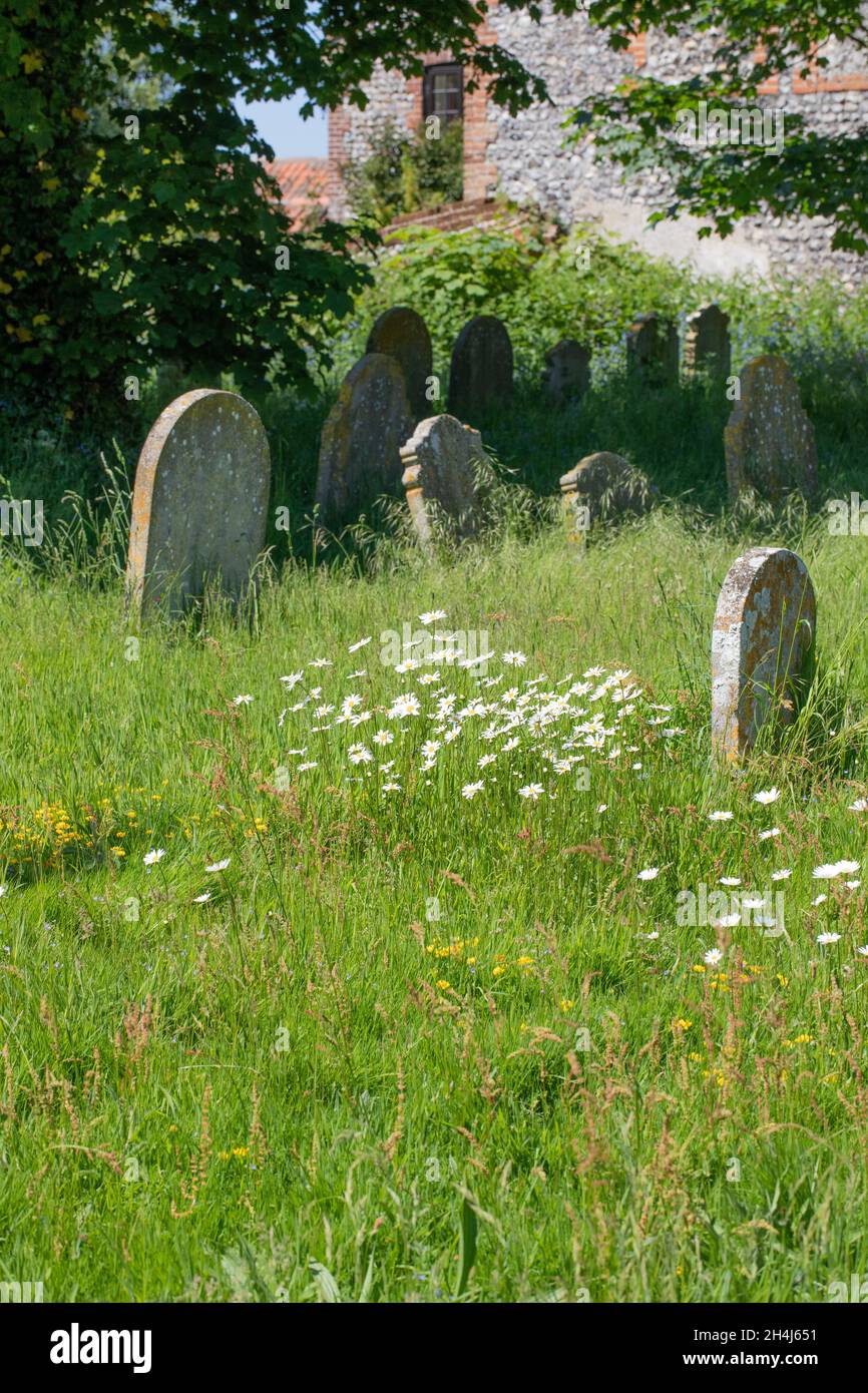 Biodiversity management hi-res stock photography and images - Alamy