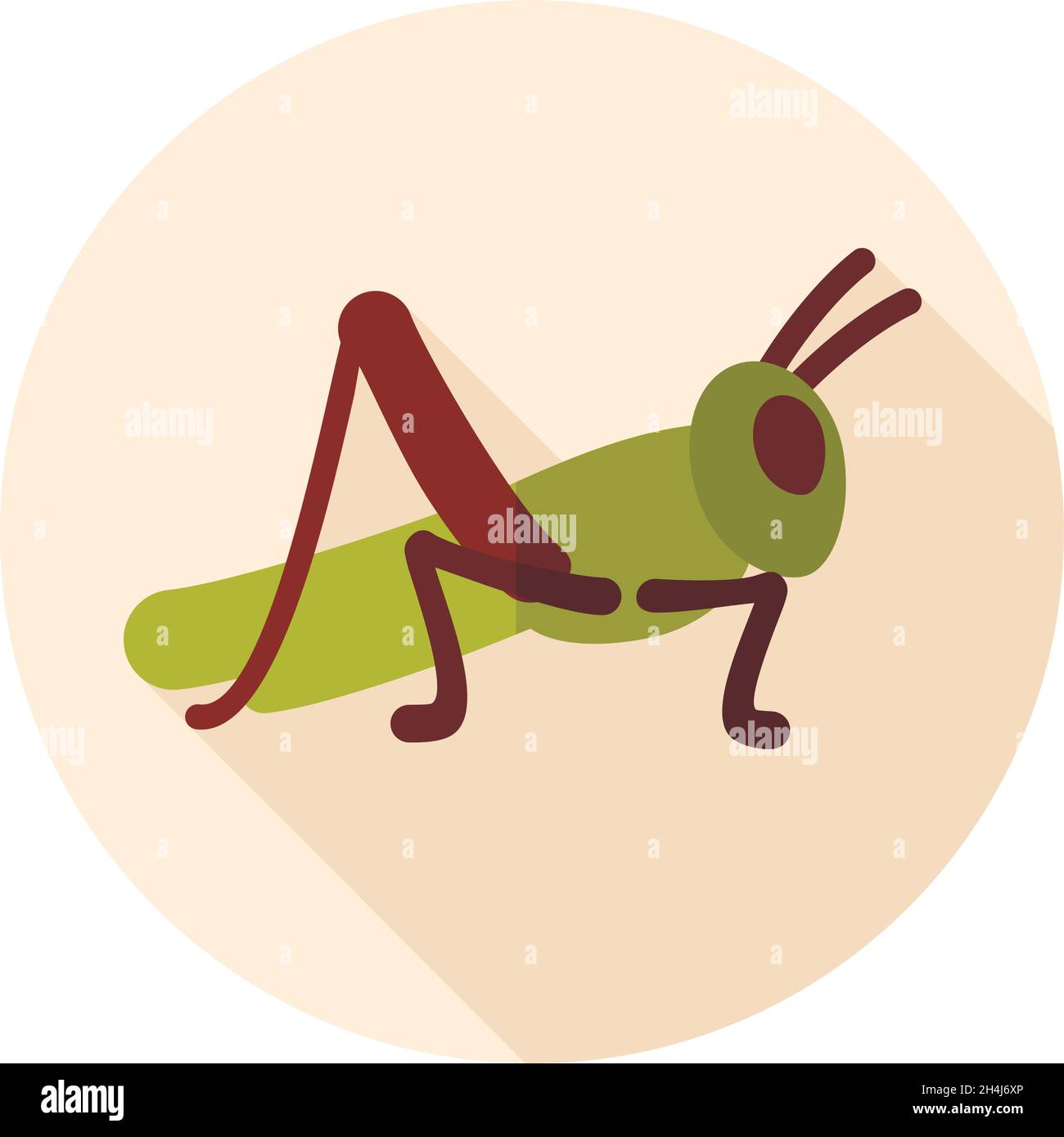Grasshopper locust icon. Agriculture sign. Graph symbol for your web ...