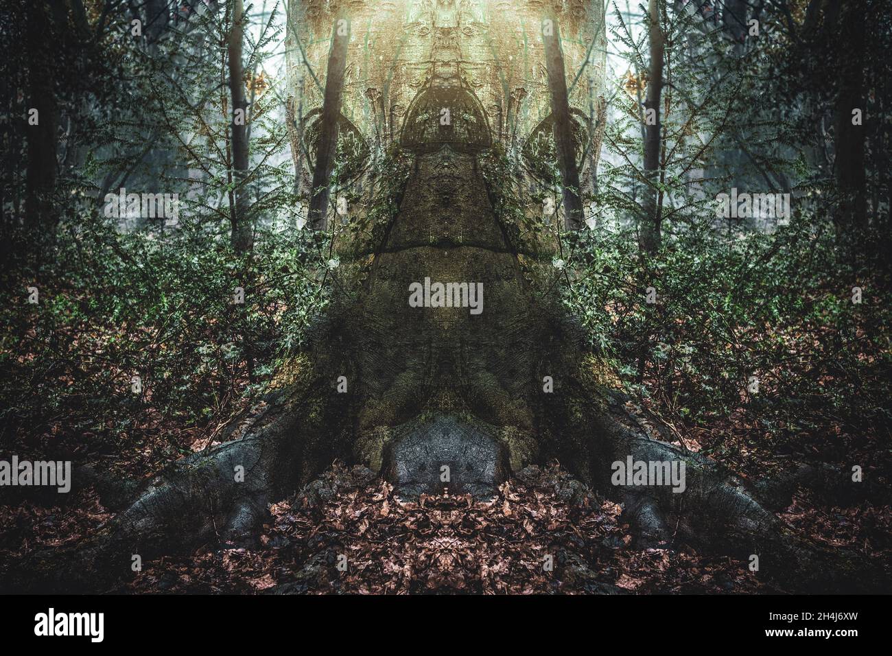 Monster, Tree, Horror, Forest, Creature, Supernatural, Overlapping ...