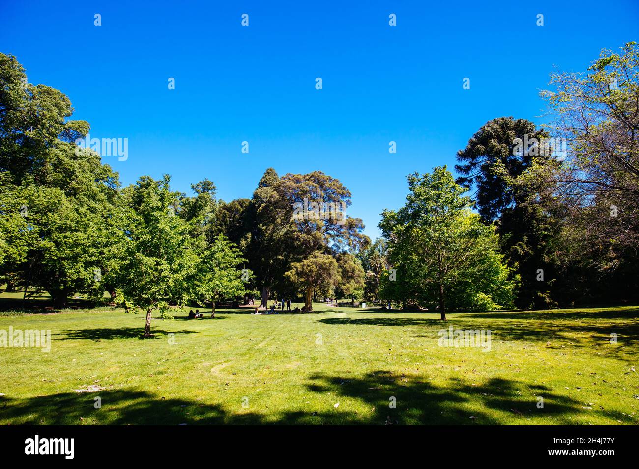 Melbourne’s fitzroy gardens hi-res stock photography and images - Alamy